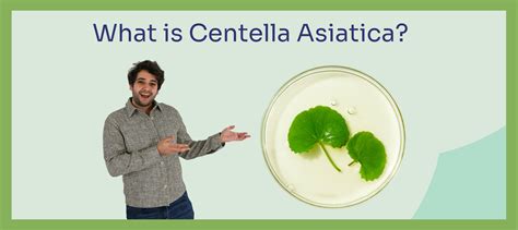 The Science Of Centella Asiatica In Skin Care Skin Type Solutions