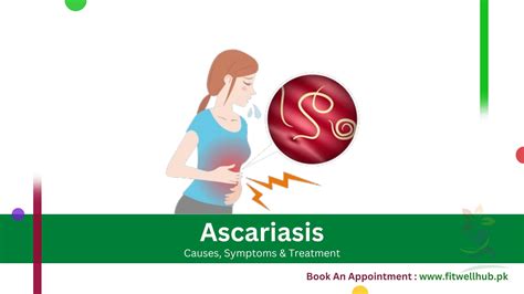 Ascariasis Causes Symptoms And Treatment Guide