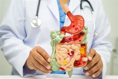 Câncer De Pênis 6 Pontos Sobre Como Identificar E Tratar A Doença