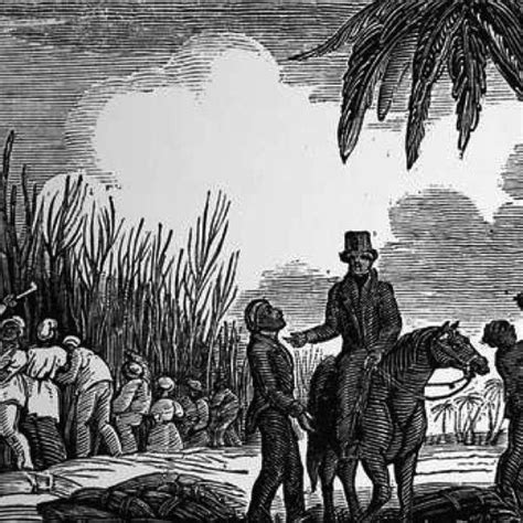 Success Sugar And Slaves The Uncomfortable Story Of Slaveholder Simon