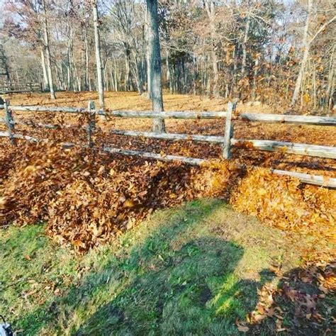 Siggins Landscape Siggins Landscape • Instagram Photos And Videos