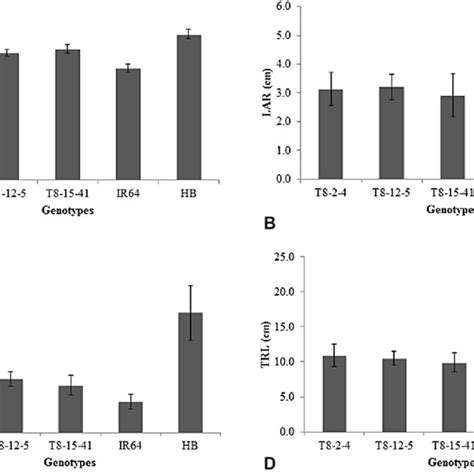 Root Tip Cell Structure After Treated With And Without 15 Ppm Al