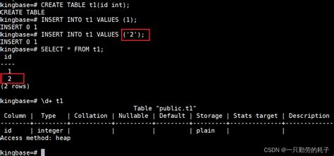 数据库类型转换