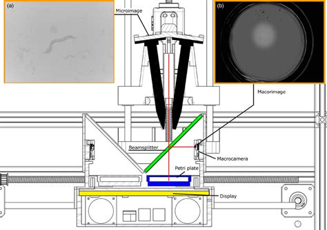 The Head And The Carriage Assembly Are Shown And How All Components