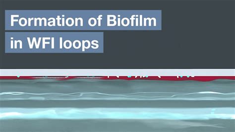 WFI loop Innovative solutions from Bürkert