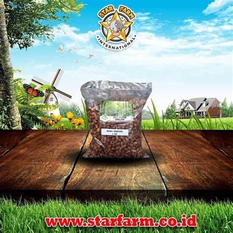 Peralatan Kandang Sapi Potong Yang Wajib Ada Ini Dia Daftarnya Star Farm International