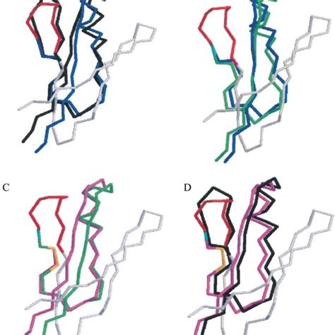 Pdf Protein Structure Prediction Using Rosetta