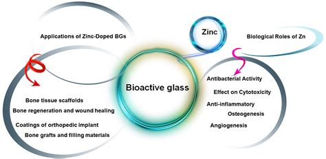 Advances In Zinc Containing Bioactive Glasses A Comprehensive Review