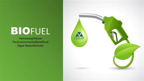 The Environmental Benefits Of Algae Based Biofuels A Detailed Exploration