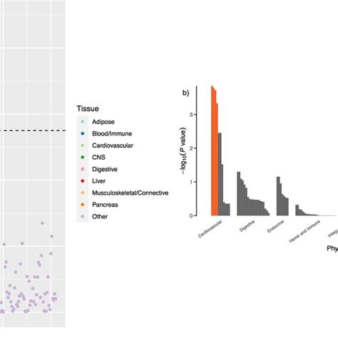 Tissue And Cell Type Specific Enrichment Analysis For Cardiorespiratory Download Scientific