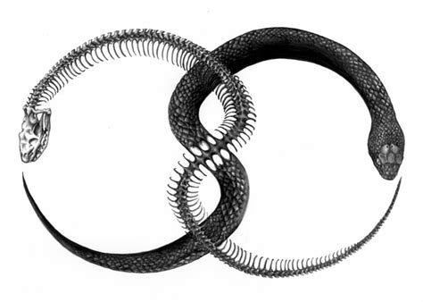 1001 Ideas For A Beautiful Ouroboros Tattoo And The Meaning Behind It