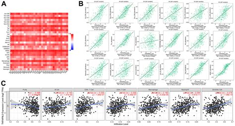 Tipe2 Acts As A Tumor Suppressor And Correlates With Tumor Microenvironment Immunity In
