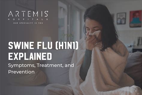 Swine Flu H1n1 Explained Symptoms Causes And Treatment Artemis