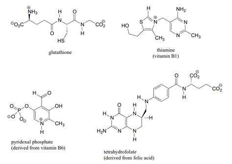 6 6 Acid Base Properties Of Nitrogen Containing Functional Groups Chemistry Libretexts