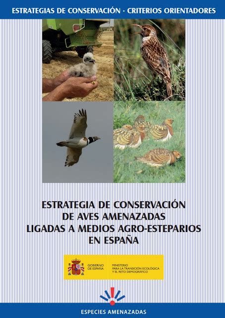 Estrategia De Conservación De Aves Amenazadas Ligadas A Medios Agro Esteparios En España