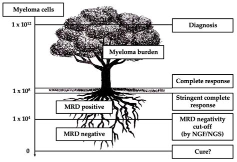 Minimal Residual Disease Significance In Multiple Myeloma Patients Treated With Anti Cd38