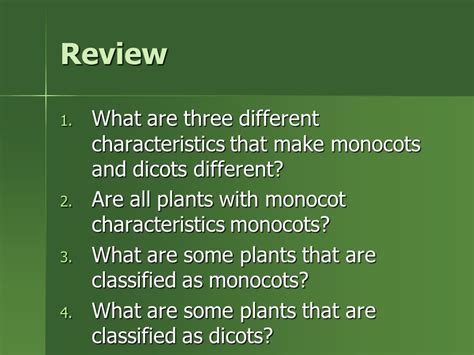 Stomata Of Monocot And Dicot Plants PLANT STOMATA OFF