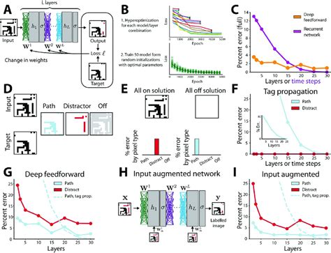 Feedforward Network Performance On The Edge Connected Pixel Task A Download Scientific
