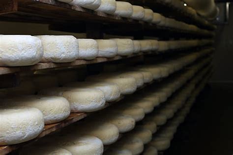 Bleu De Gex David Lebovitz