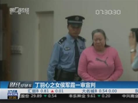 丁书苗之女侯军霞一审被判7年 视频中国