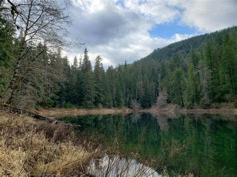 Spider Lake Olympic National Forest Washington United States 2 4