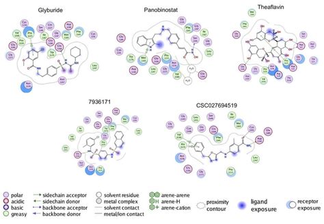Binding Poses Predicted With The Molecular With Molecular Operating