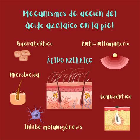 Ácido Azelaico ¿corrige Algo Más Que El Acné María Monterrubio