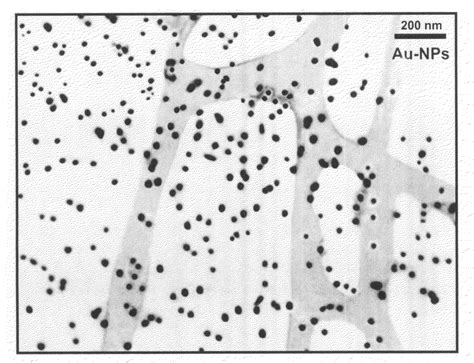 In Situ Nanoparticle Formation In Polymer Clearcoats Eureka Patsnap