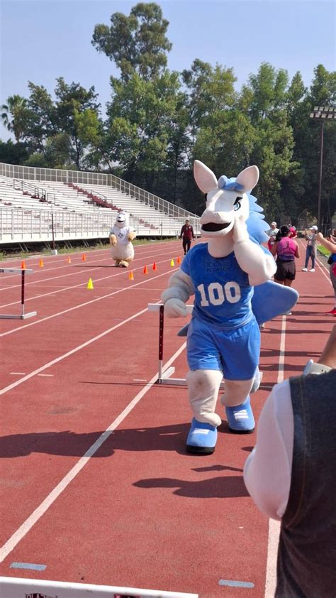 Cecyt 8 Narciso Bassols Ipn Mexico City