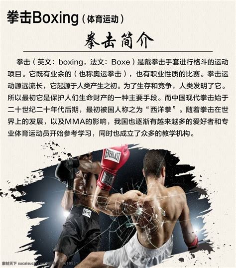 拳击搏击运动素材图片下载 素材编号09619951 素材天下图库