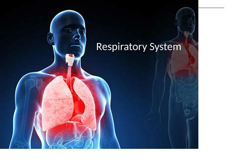 Respiratory System Notes Powerpoint Emt P Emergency Medical