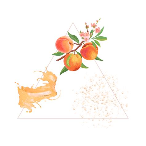 Georgia Peach Prosecco Fragrance Oil L Scentsorie Scentsorie