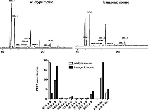Functional Expression Of The Fad2 Gene And Fat1 Gene In The F0