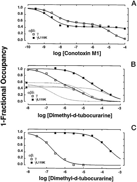 Lysine Mutagenesis Of Leu 119 Mimics Mtsea Treatment Of L119c