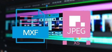 Intopix Ticoxs Jpeg Xs Ip Cores And Sdks Isoiec 21122