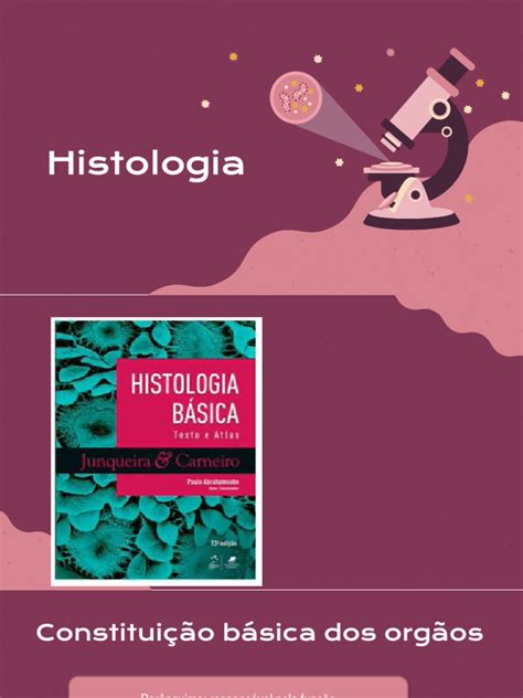 Aula 5 Tec Epitelial Pdf Epitélio Tecido Biologia