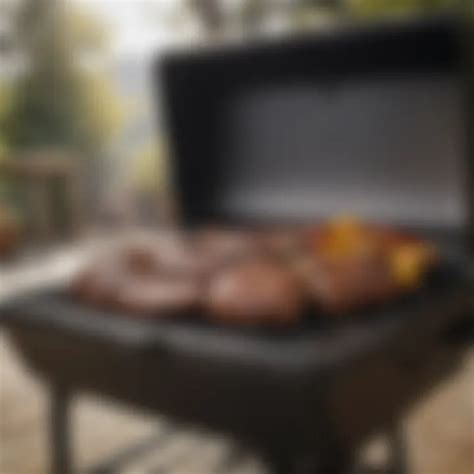 Unveiling The Variances Among Weber Grills A Detailed Comparison