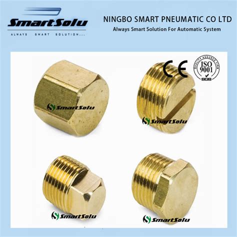 Sae Standards Dryseal Thread Brass Pipe Plug Tube Fittings China