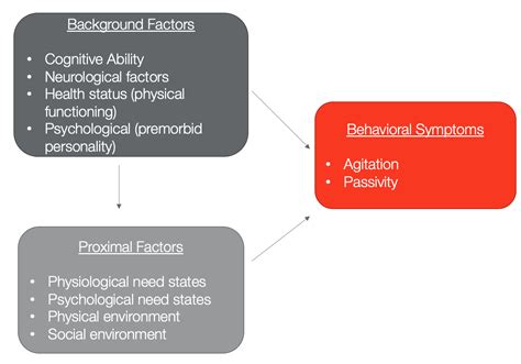 Ndb Modell Nach Kolanowski A Model Of Consequences Of Need Driven
