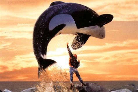 Woman Who Played Jesses Stunt Double In Free Willy Says Shed Never