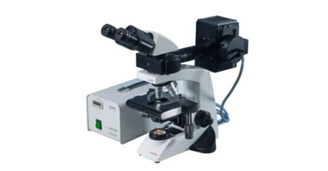 Buy Fluorescence Microscope Get Price For Lab Equipment