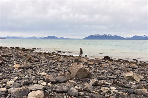 5 Best Hikes In Glacier Bay National Park The National Parks Experience