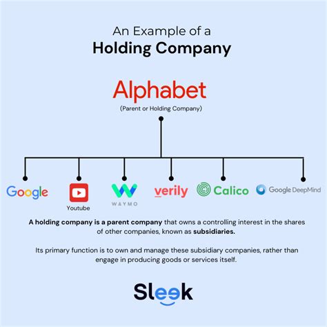 The Ultimate Guide To Holding Companies Sleek