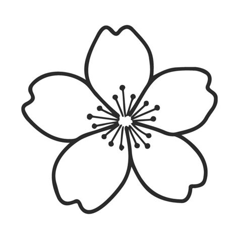 Cherry Blossom Outline Vector Art Icons And Graphics For Free Download