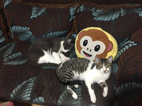 Luna And Lilo Chilling