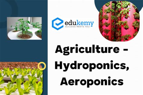 Narco Analysis Polygraph And Brain Mapping