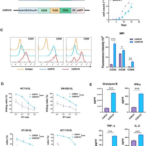 The Expression Of Cd318 In Primary Crc Tissues A Cd318 Expression