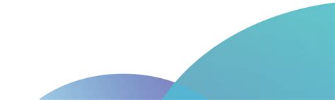 Future Direction Plan Spectrum