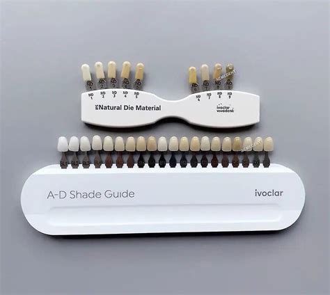 Dental Teeth Shade Guide A D 920 Color Chart Ips Natural Die Fruugo Uk