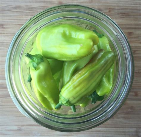 Quick Refrigerator Pickled Pepperoncini Peppers